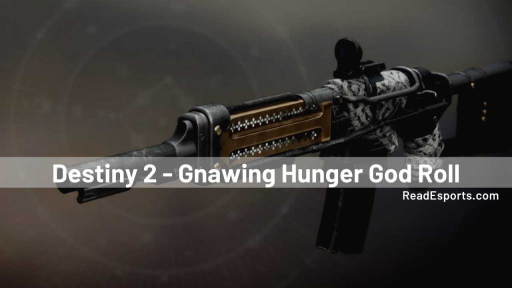 Gnawing Hunger God Roll - Destiny 2